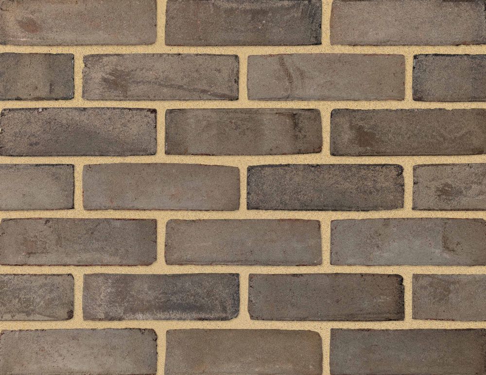 Dolphin | The Bespoke Brick Company
